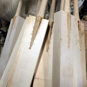 Part-Made Cricket Bat Clefts - Red Ink Cricket